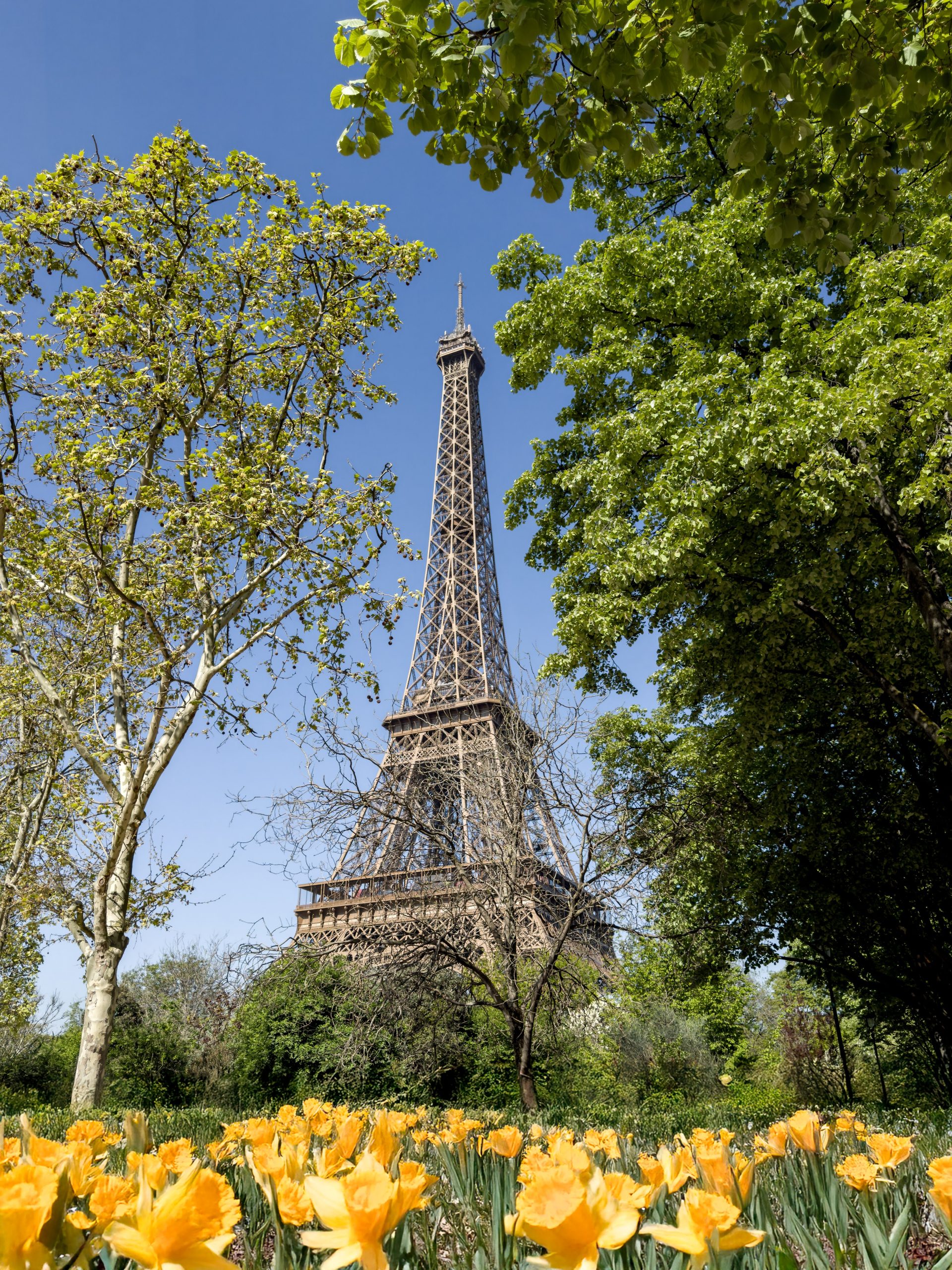Francija lēnām un ar baudu - Ceļojumu aģentūra - RIA TOURS